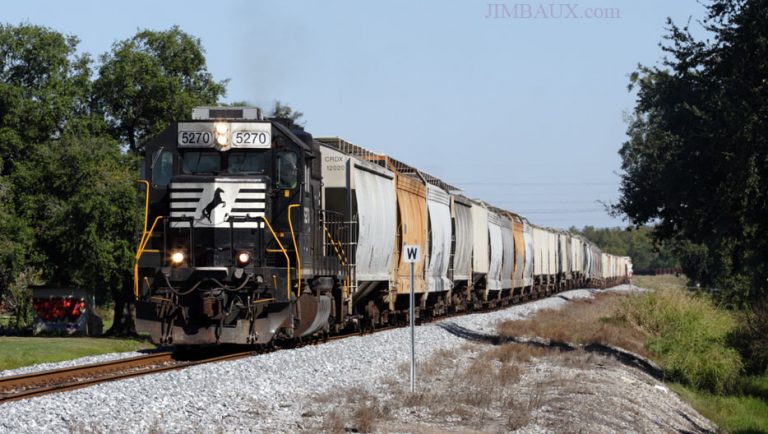 November Newness, A Rebirth