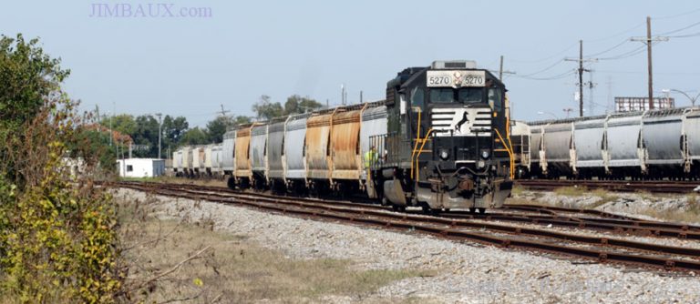 November Newness, A Rebirth