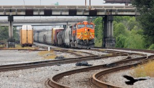 Weekend Whoadification Too