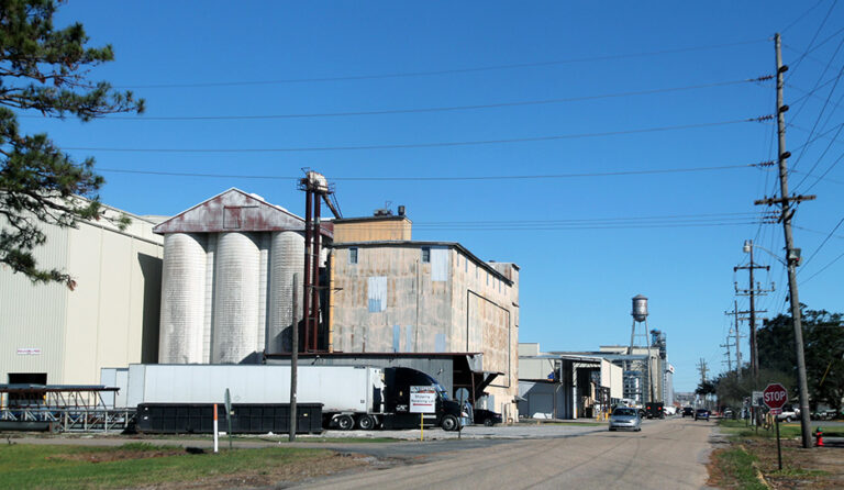 This Is The World We Live In